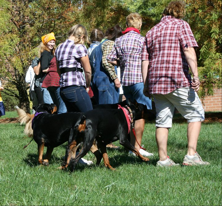 New Hope Dog Festival | June 6th at Rice's Market, New Hope PA